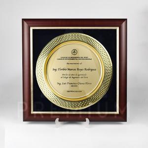 Conoce nuestro tipos de placas hechas para todo momento