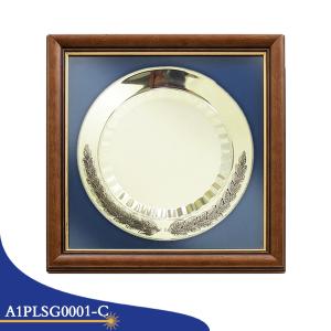 Conoce nuestro tipos de placas hechas para todo momento